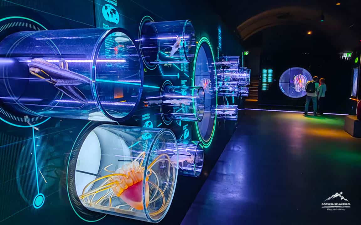 Hydropolis we Wrocławiu - centrum nauki i wiedzy o wodzie