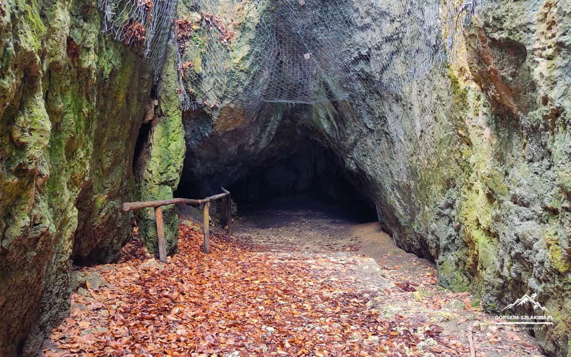 Ojcowski Park Narodowy - co warto zwiedzić? Atrakcje, trasy, wycieczki