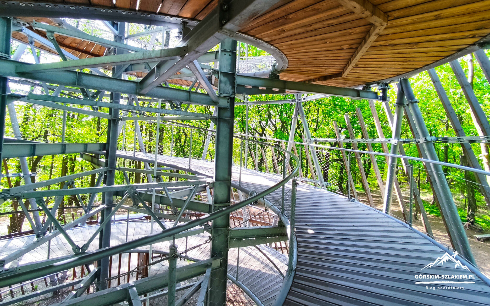 Wzgórze Gedymina – wieża widokowa w Szczawnie Zdrój. Zwiedzanie ...