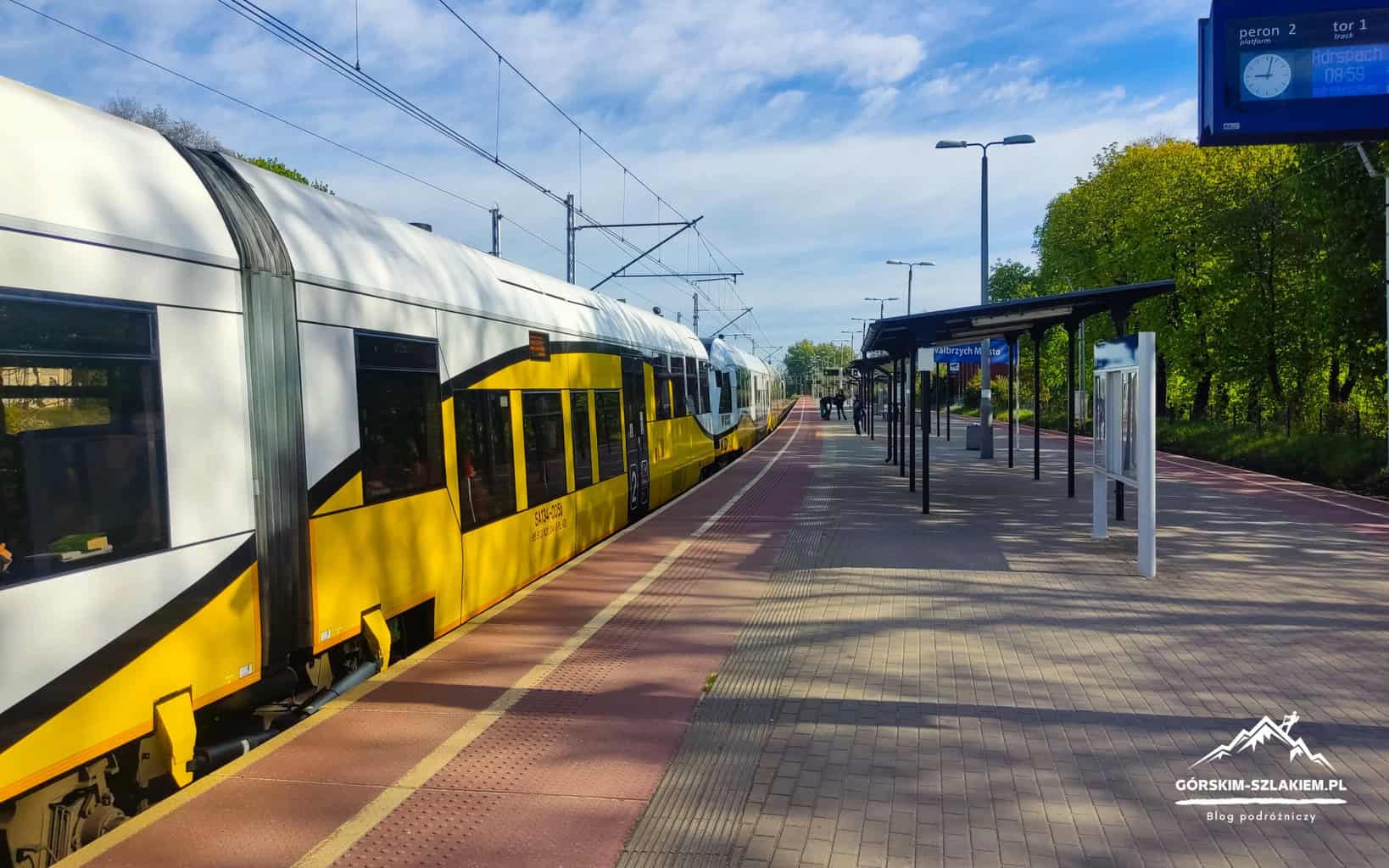 Wzgórze Gedymina – wieża widokowa w Szczawnie Zdrój. Zwiedzanie ...