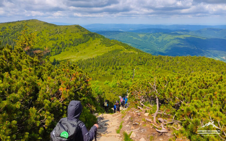 Babia Góra - najwyższy szczyt Beskidu Żywieckiego i Beskidów