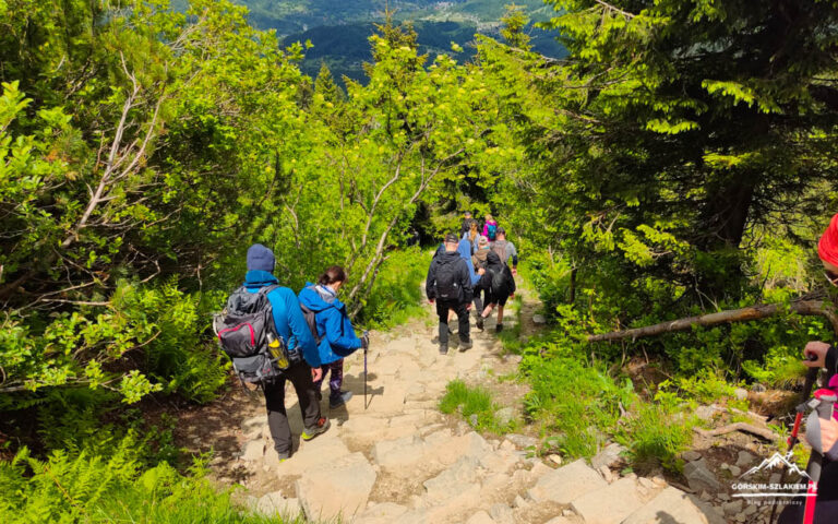 Babia Góra - najwyższy szczyt Beskidu Żywieckiego i Beskidów